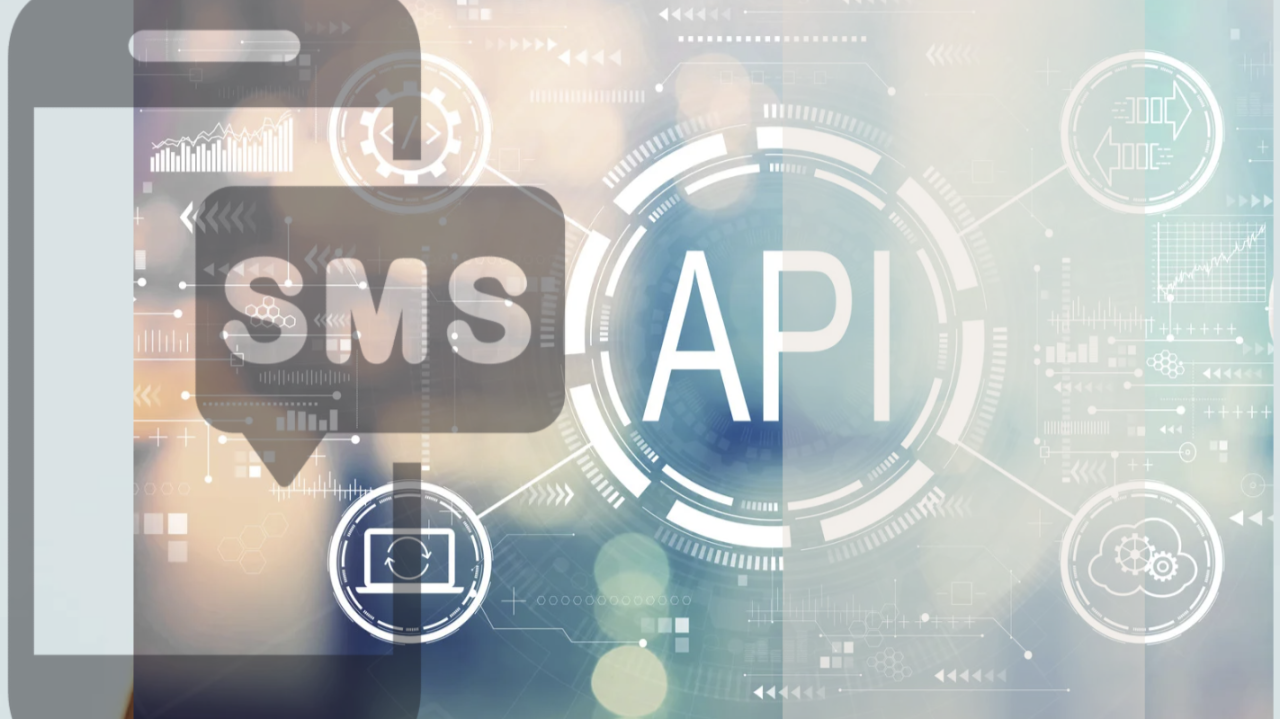 Why Flexible APIs Are a Game-Changer for SMS Business Messaging - VVPUSA